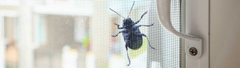 Mobile Screen Repair | Window Screen Replacement | East Bay Screens